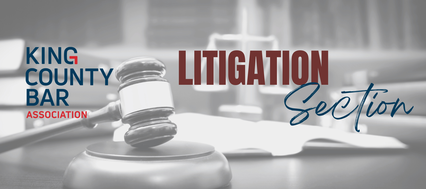 LITIGATION